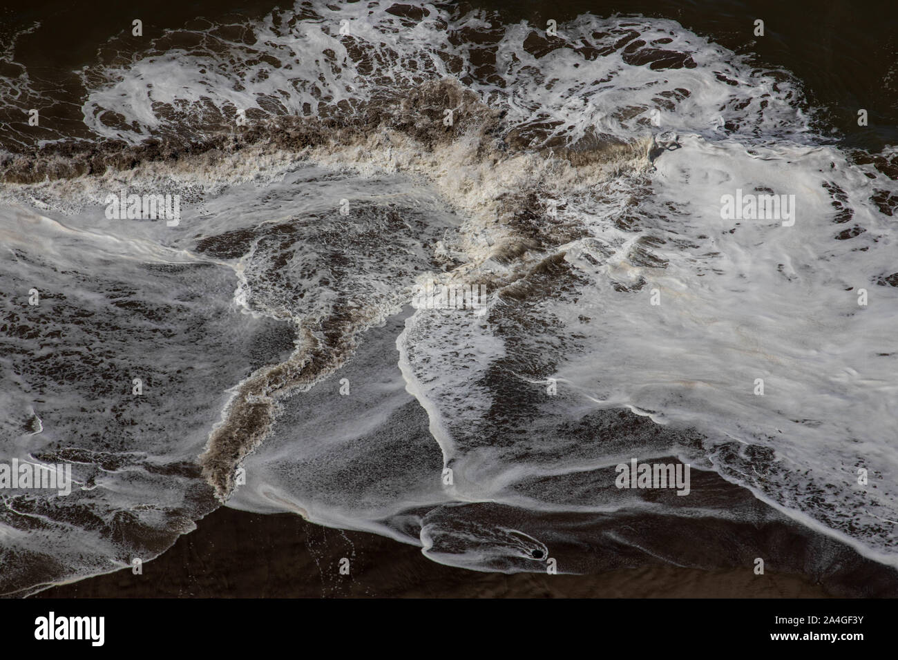 Coastal environment create hi-res stock photography and images - Alamy