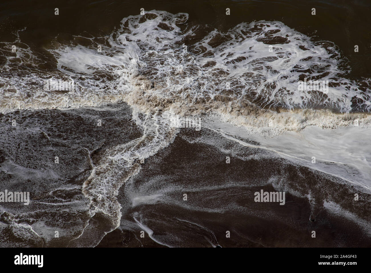 Coastal environment create hi-res stock photography and images - Alamy