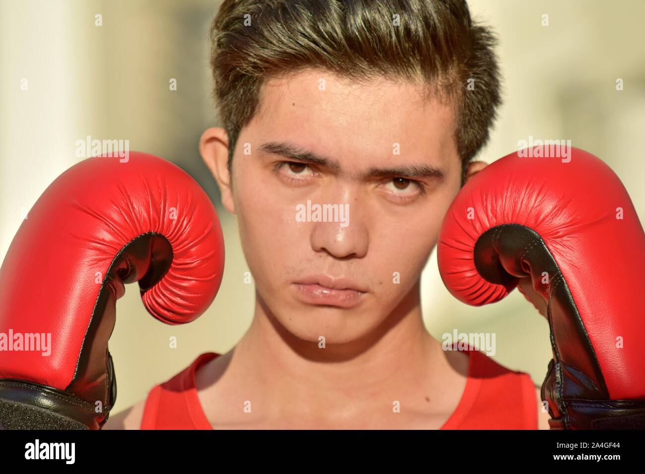An Unemotional Male Boxer Stock Photo - Alamy