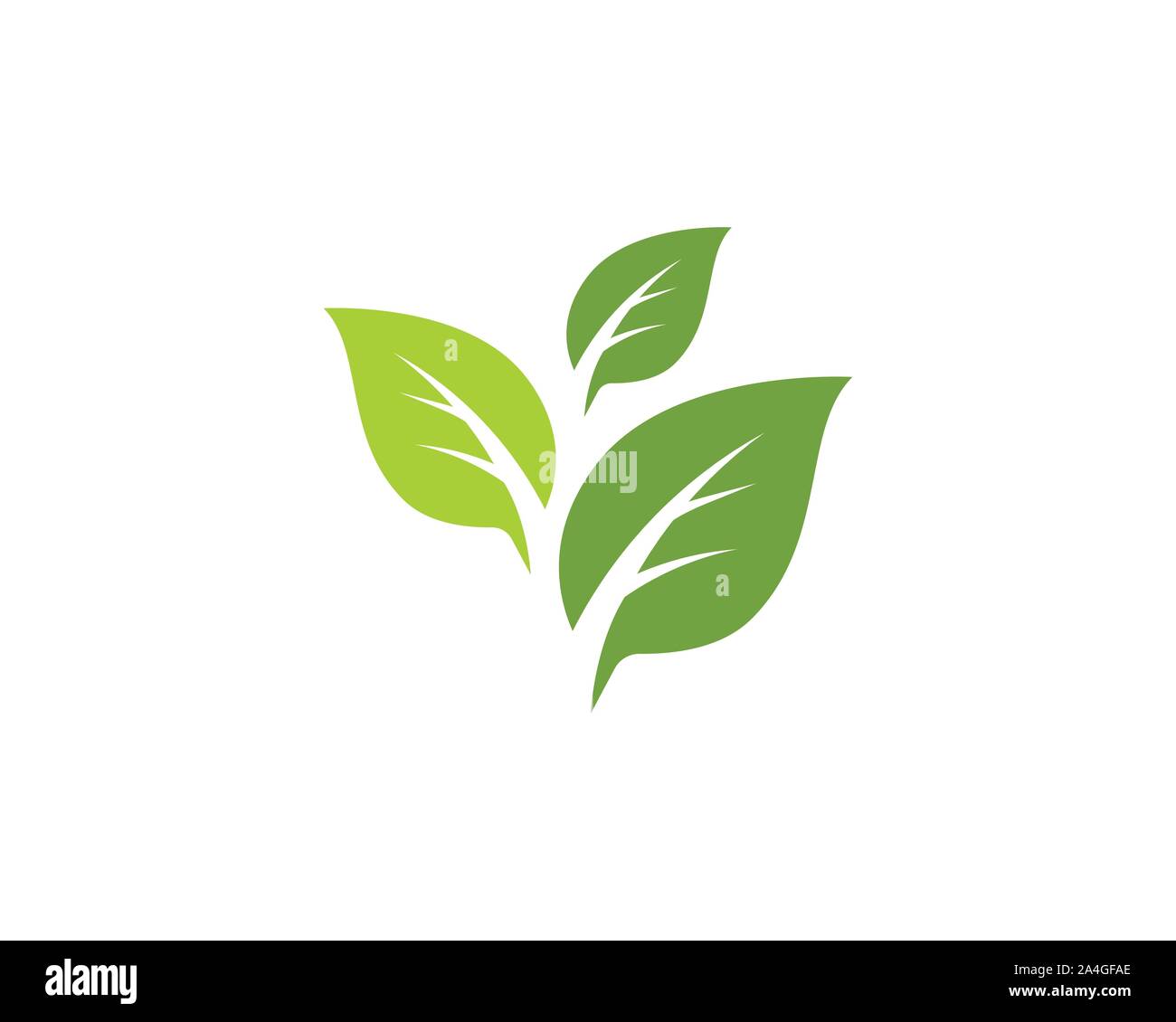 Tree leaf vector hi-res stock photography and images - Alamy
