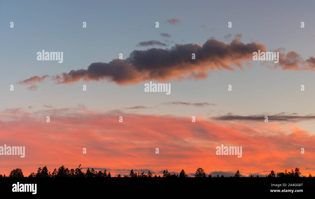 Sunset over forest with pastel colors sky and colorful clouds Stock ...
