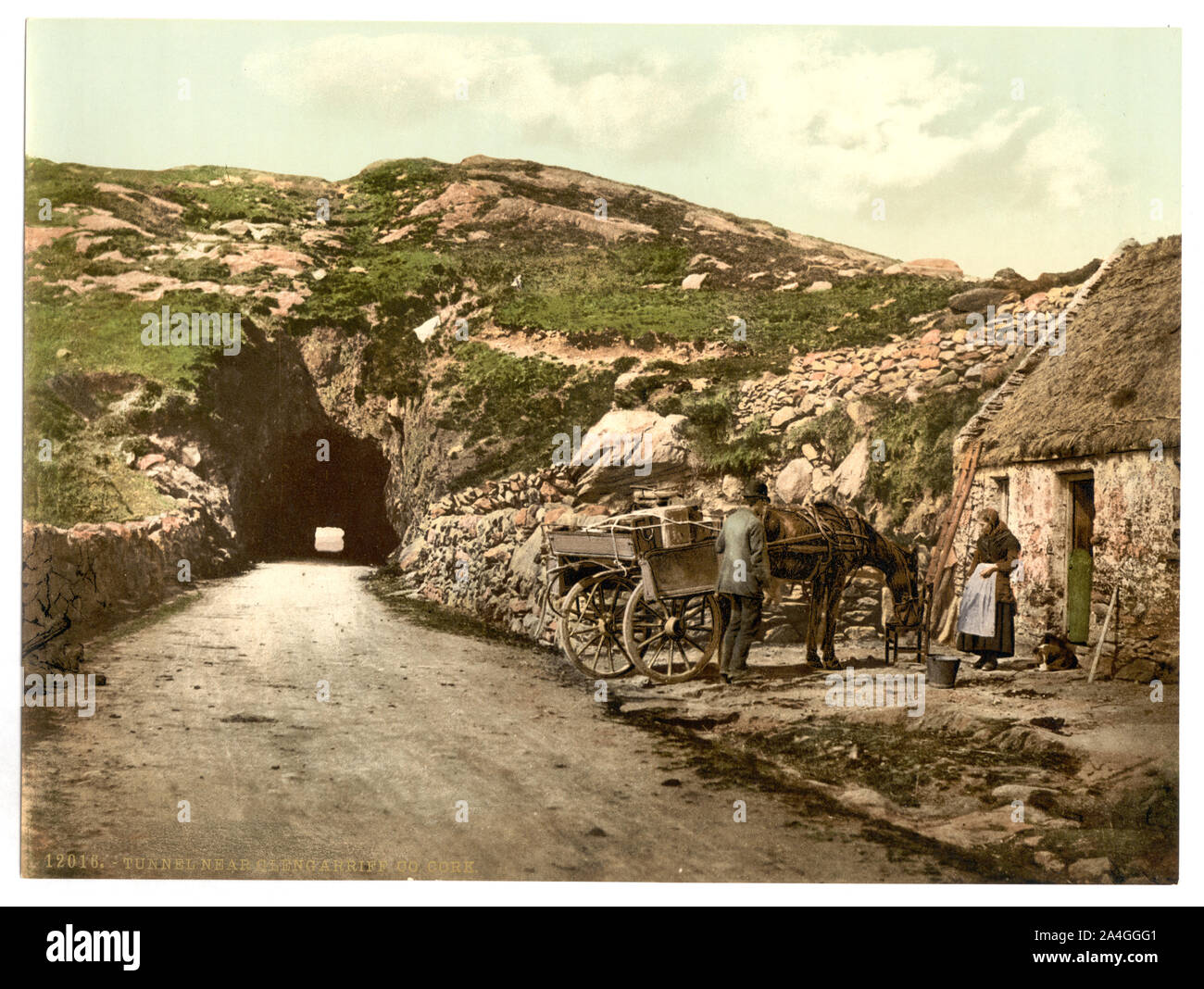 Ireland the tunnel Cut Out Stock Images & Pictures - Alamy
