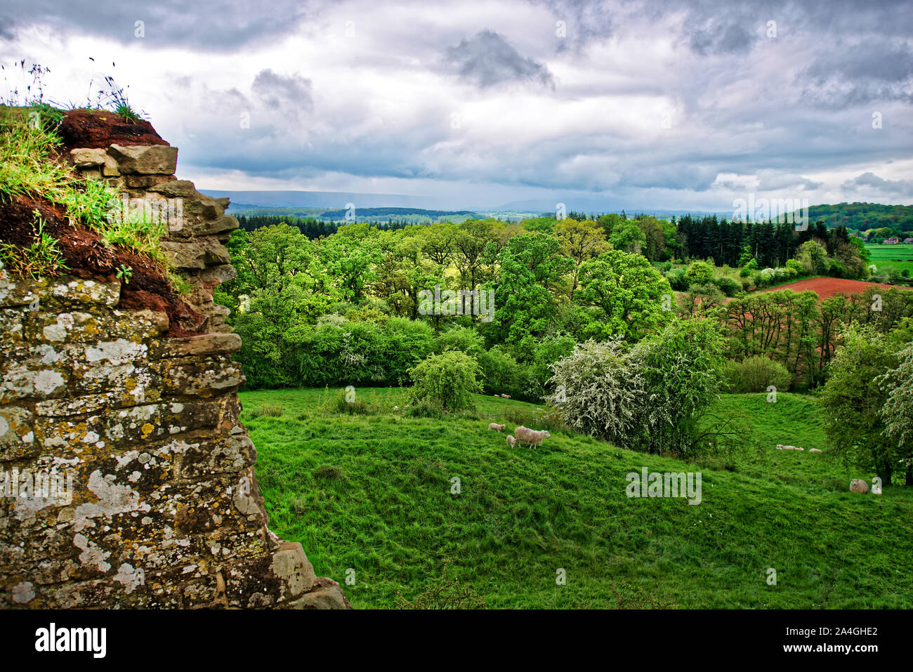 Kilpeck is a village Herefordshire, England, southwest of Hereford ...