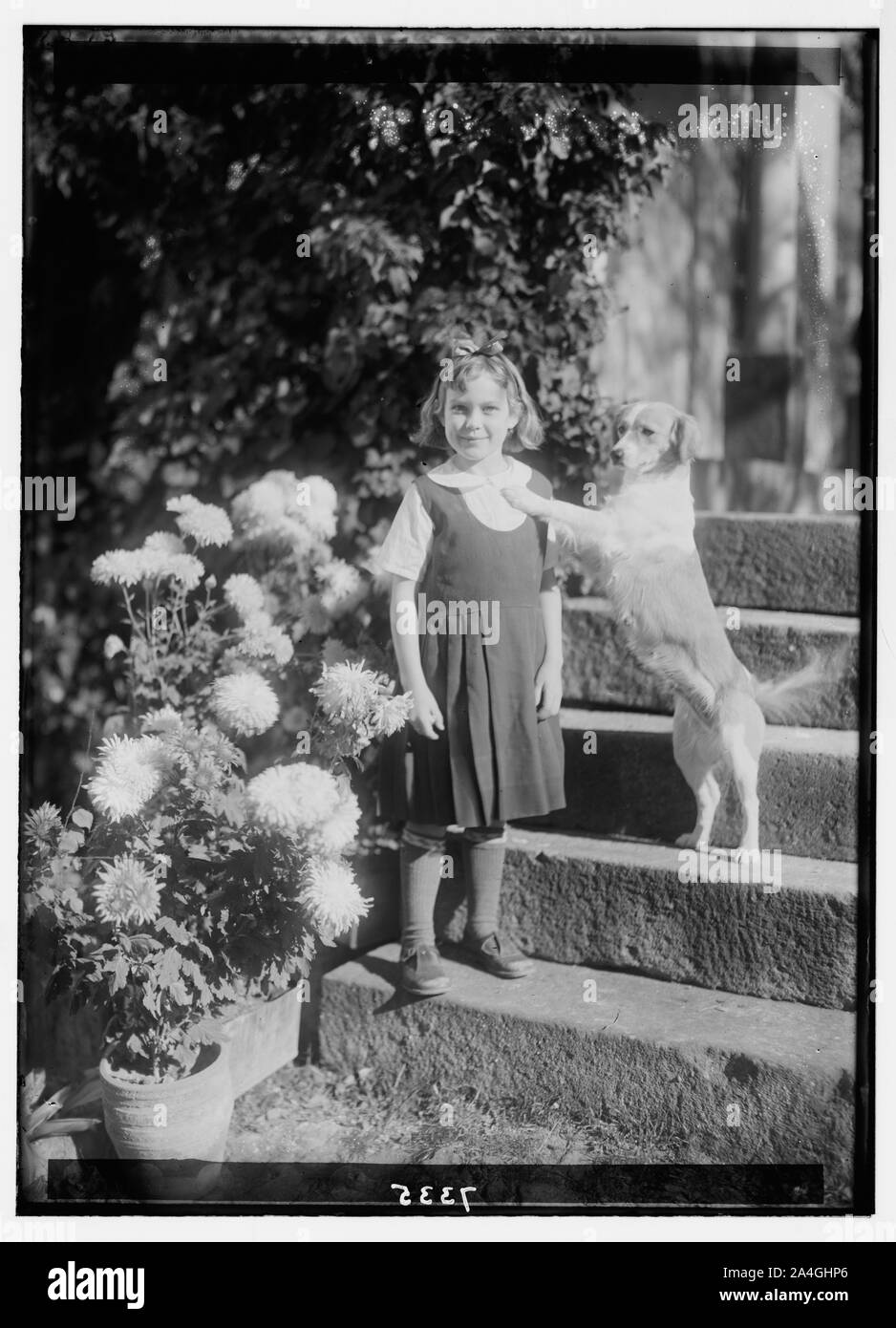 Finlay plate hi-res stock photography and images - Alamy