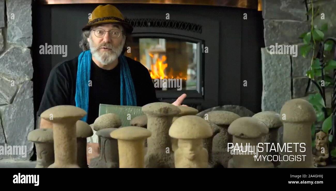 FANTASTIC FUNGI, Paul Stamets, Mycologist, 2019. © Moving Arts ...