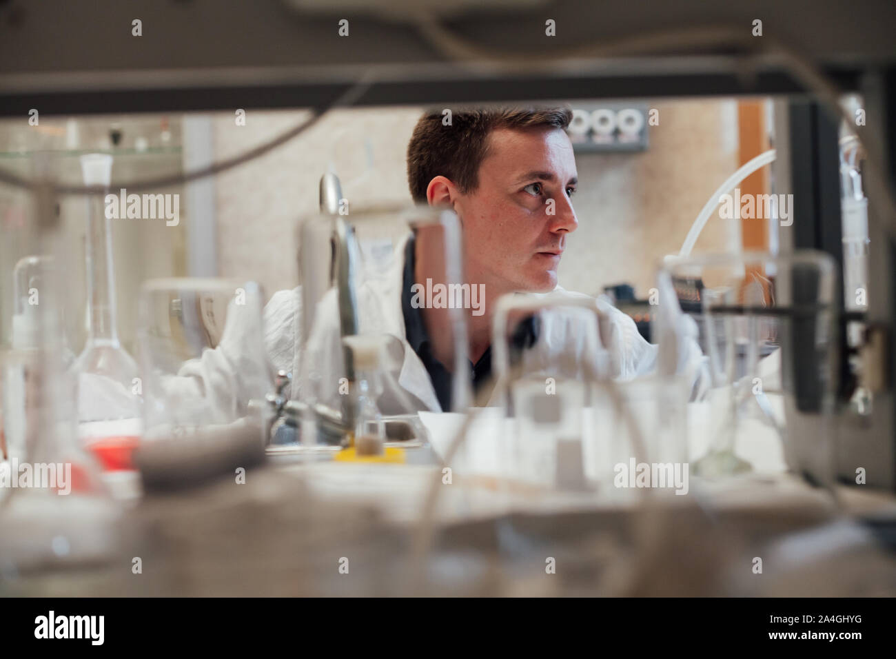 scientist conducts chemical experiments with liquids in the medical ...