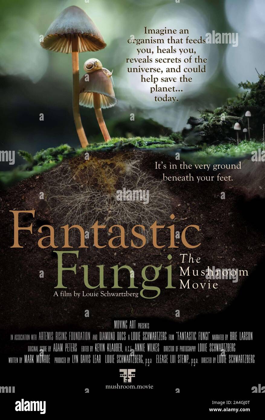 FANTASTIC FUNGI, US poster, 2019. © Moving Arts / courtesy Everett ...