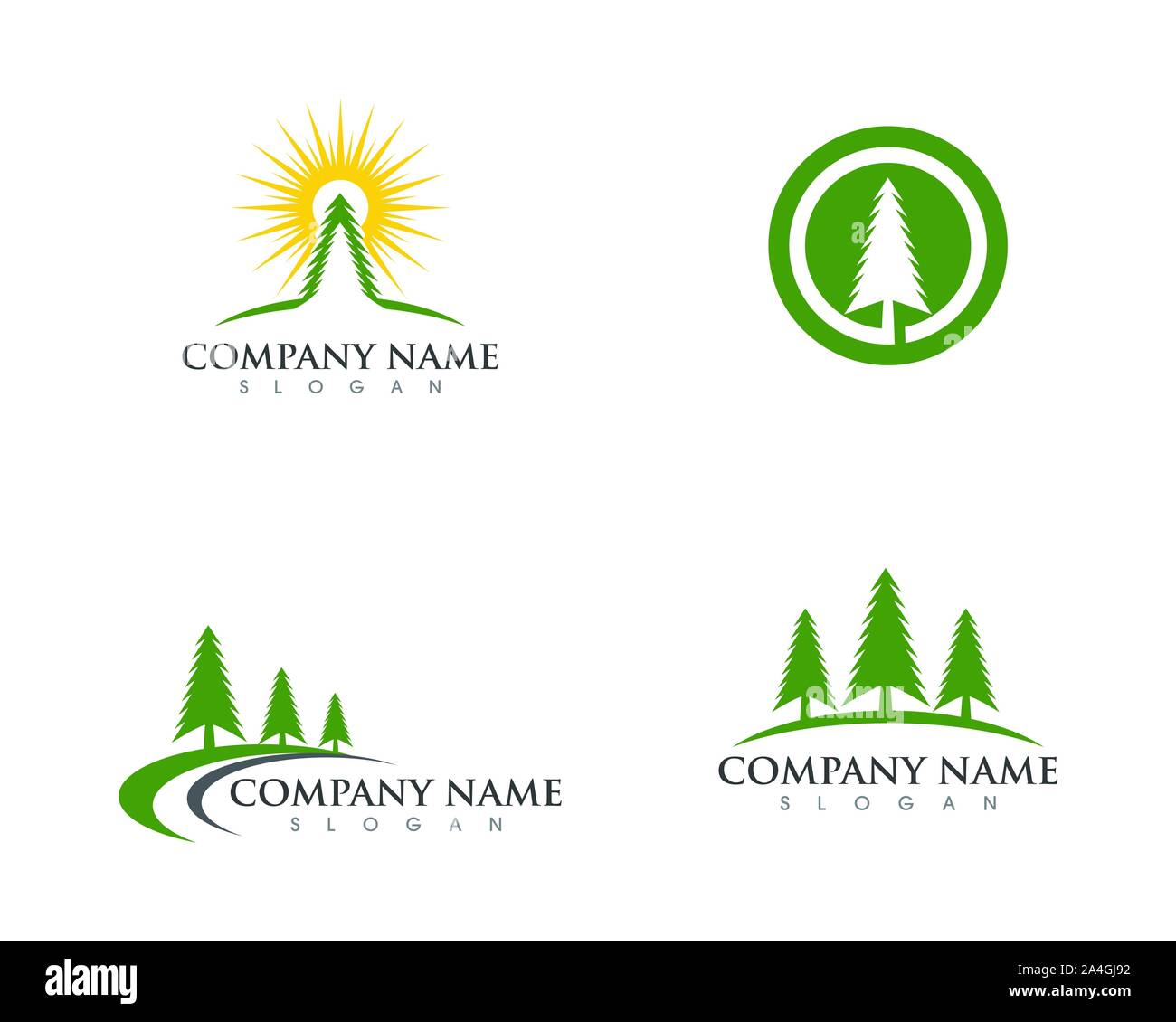 Cedar tree Logo template vector icon illustration design Stock Vector ...