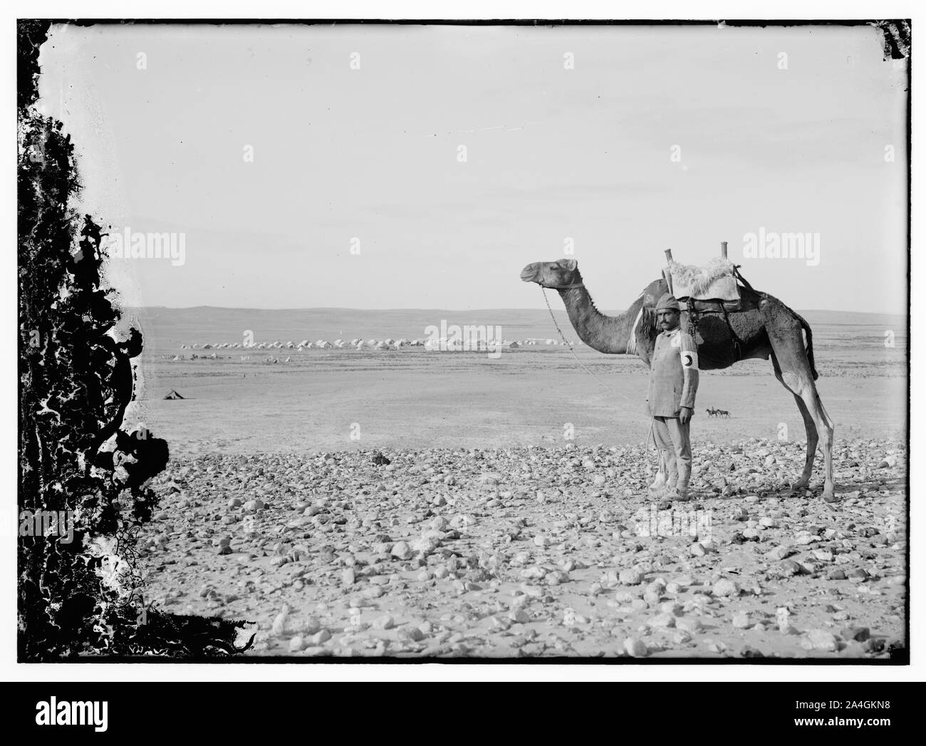 Turkish Red Crescent Stock Photo - Alamy