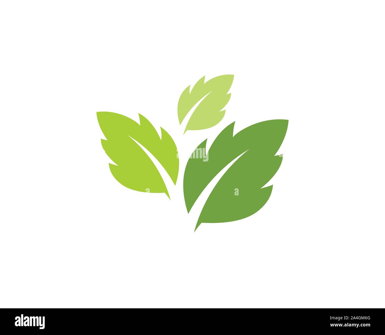 Tree Leaf Vector icon Illustration design template Stock Vector Image ...