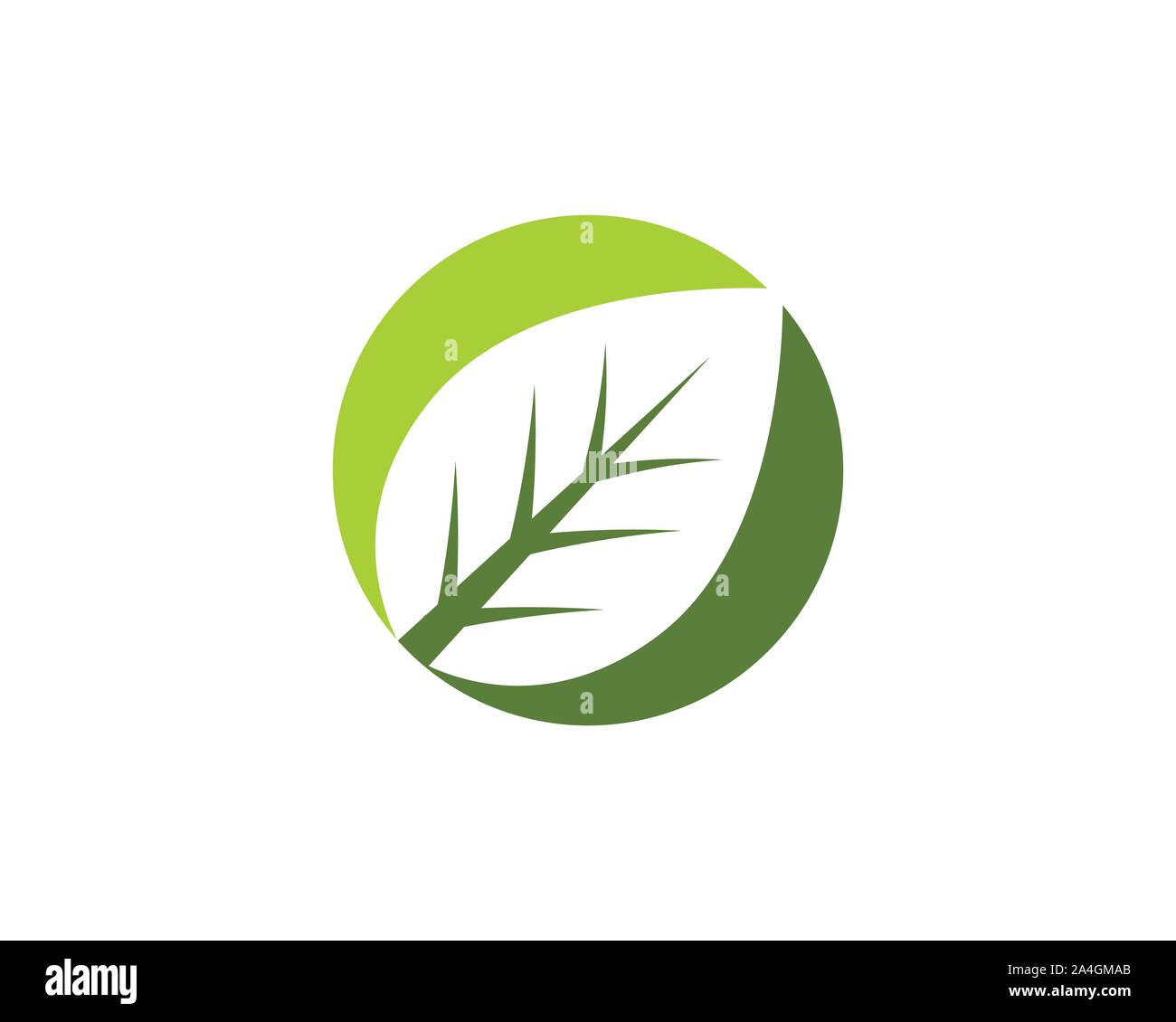 Tree leaf vector hi-res stock photography and images - Alamy