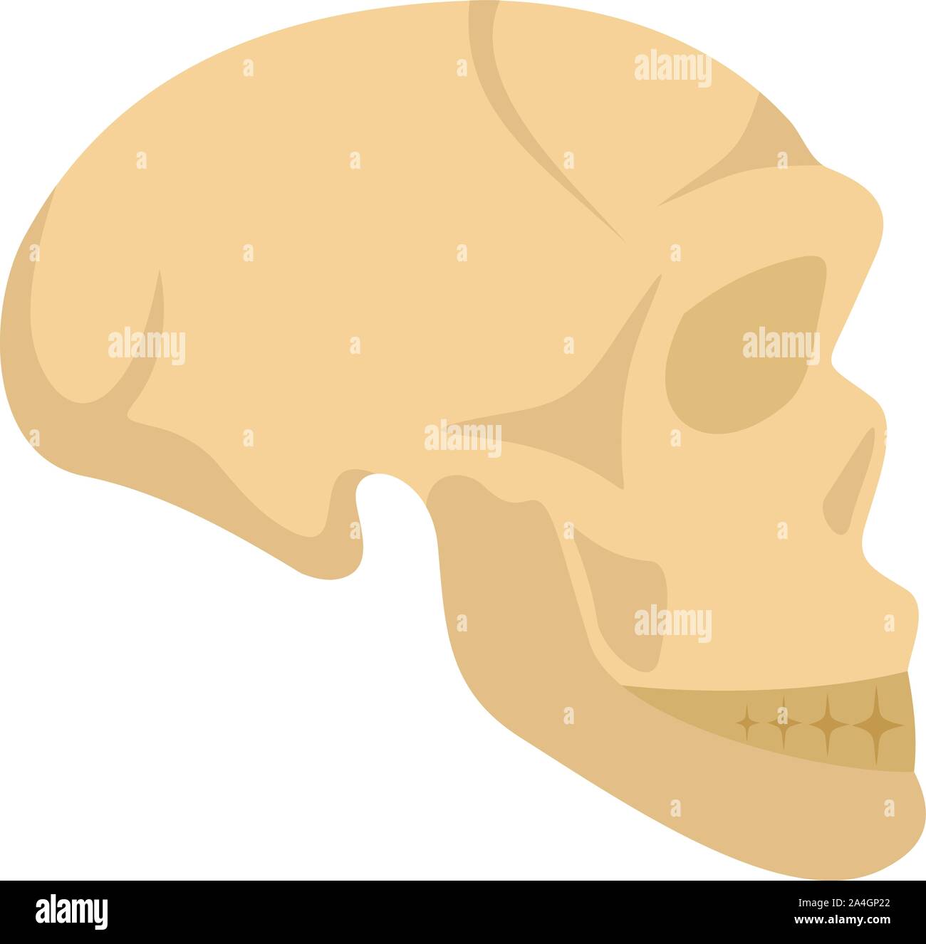 Stone age man skull icon. Flat illustration of stone age man skull ...