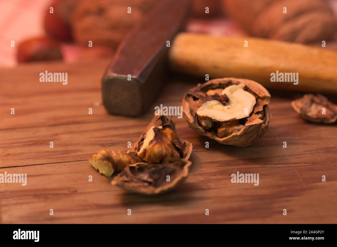 A freshly cascaded nut next to the hammer that has been used to break ...