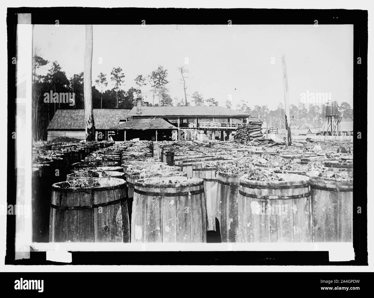 Turpentine Black and White Stock Photos & Images - Alamy