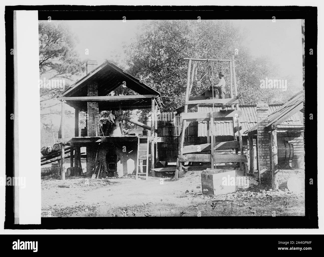 Turpentine farm, Clinton, N.C Stock Photo - Alamy