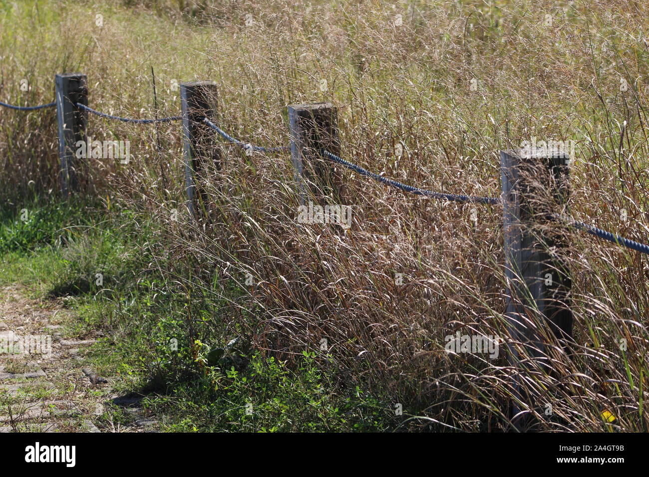fence along road Stock Photo - Alamy