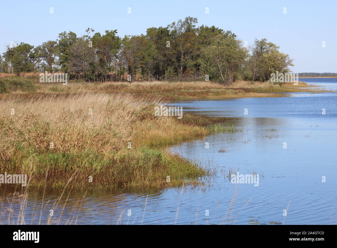 Wet lands hi-res stock photography and images - Alamy