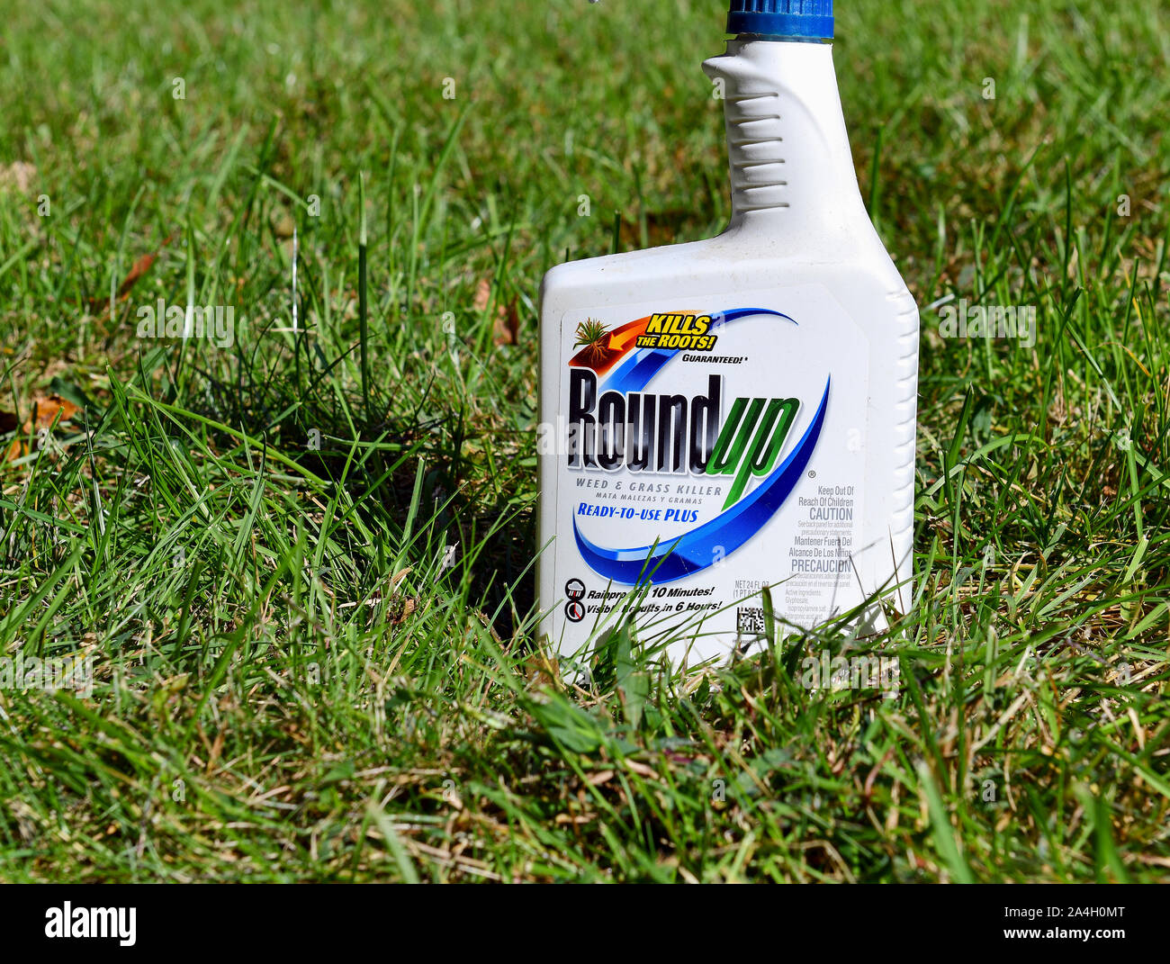 Roundup weed killer used to kill weeds in lawns, gardens and farms is ...