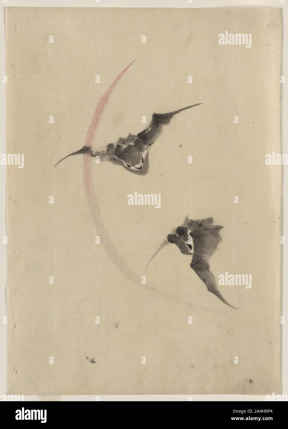 Two bats flying Stock Photo - Alamy