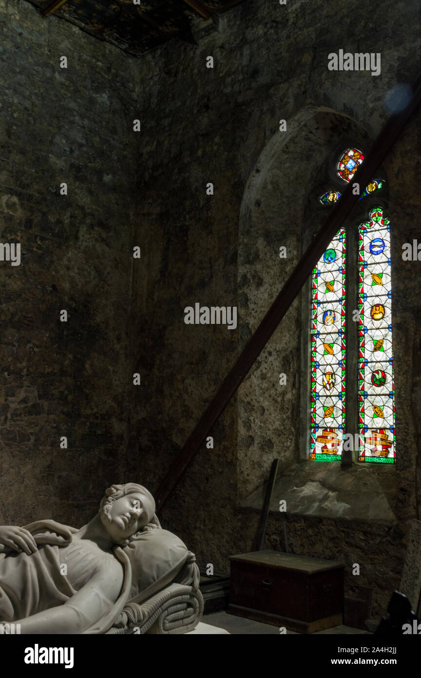 St Mary's Cathedral, Limerick Stock Photo - Alamy