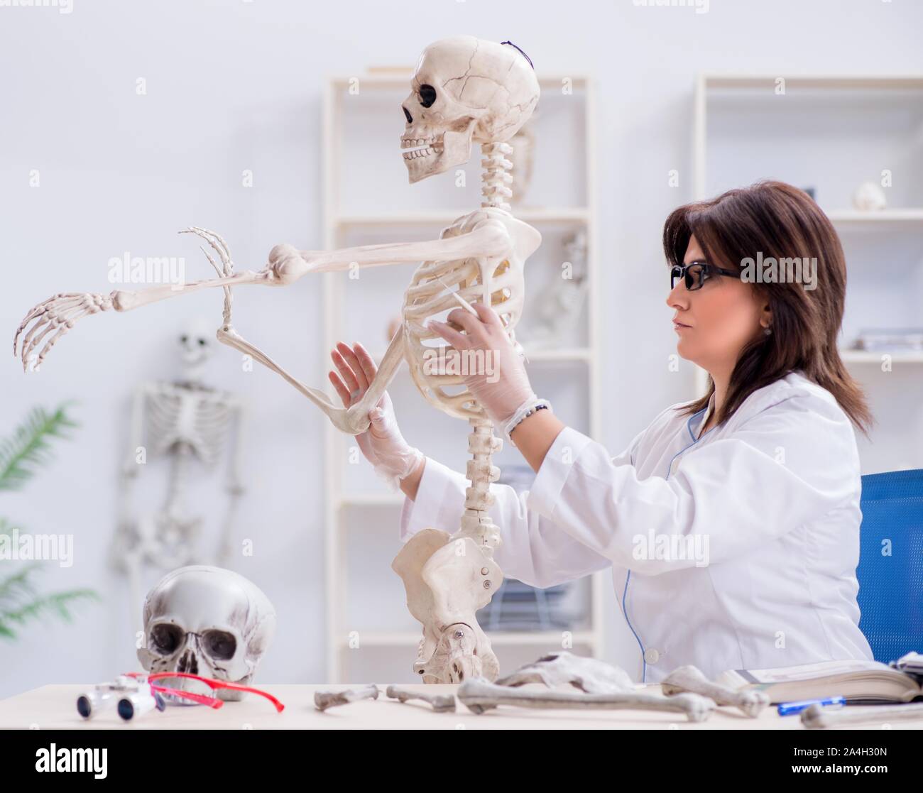 The doctor working in the lab on skeleton Stock Photo - Alamy