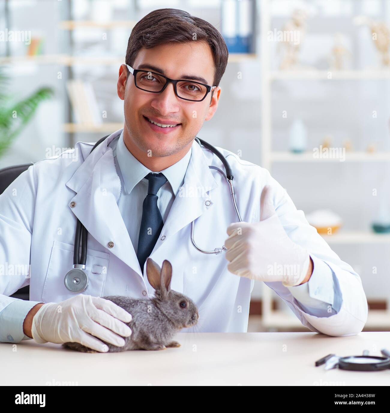 The vet doctor checking up rabbit in his clinic Stock Photo - Alamy