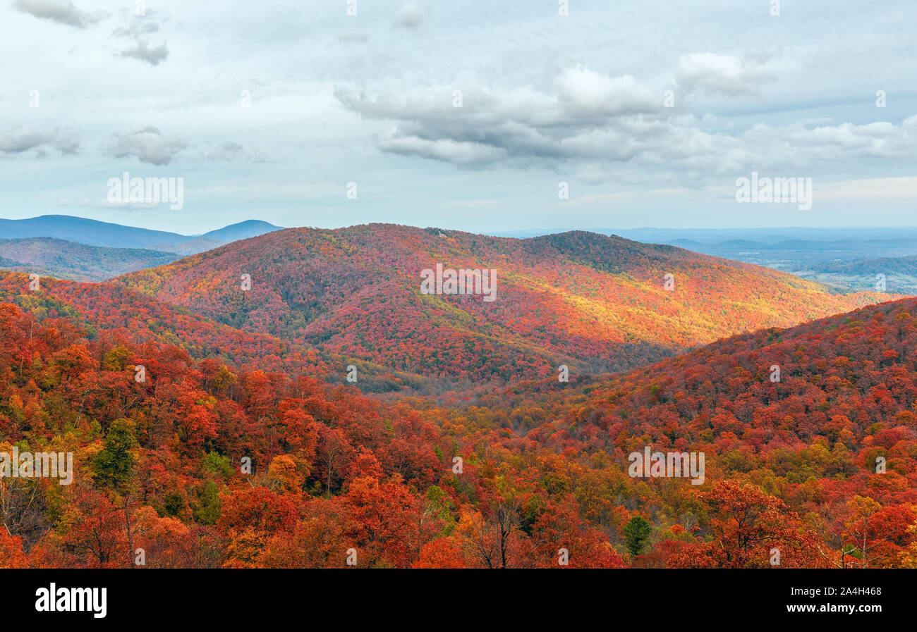 Colorful autumn view of Blue Ridge mountain ridges from Skyline Drive ...