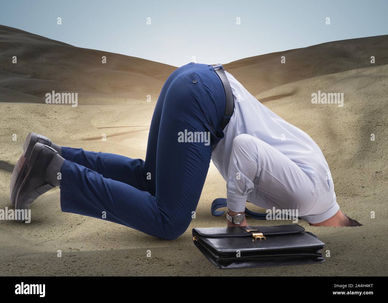 Ostrich hiding head in sand hi-res stock photography and images - Alamy