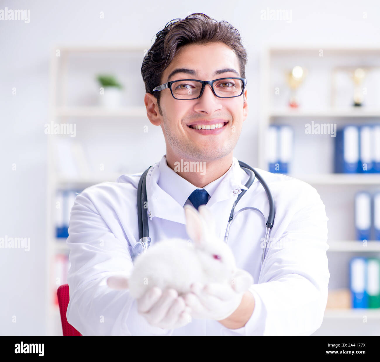 The vet doctor examining rabbit in pet hospital Stock Photo - Alamy