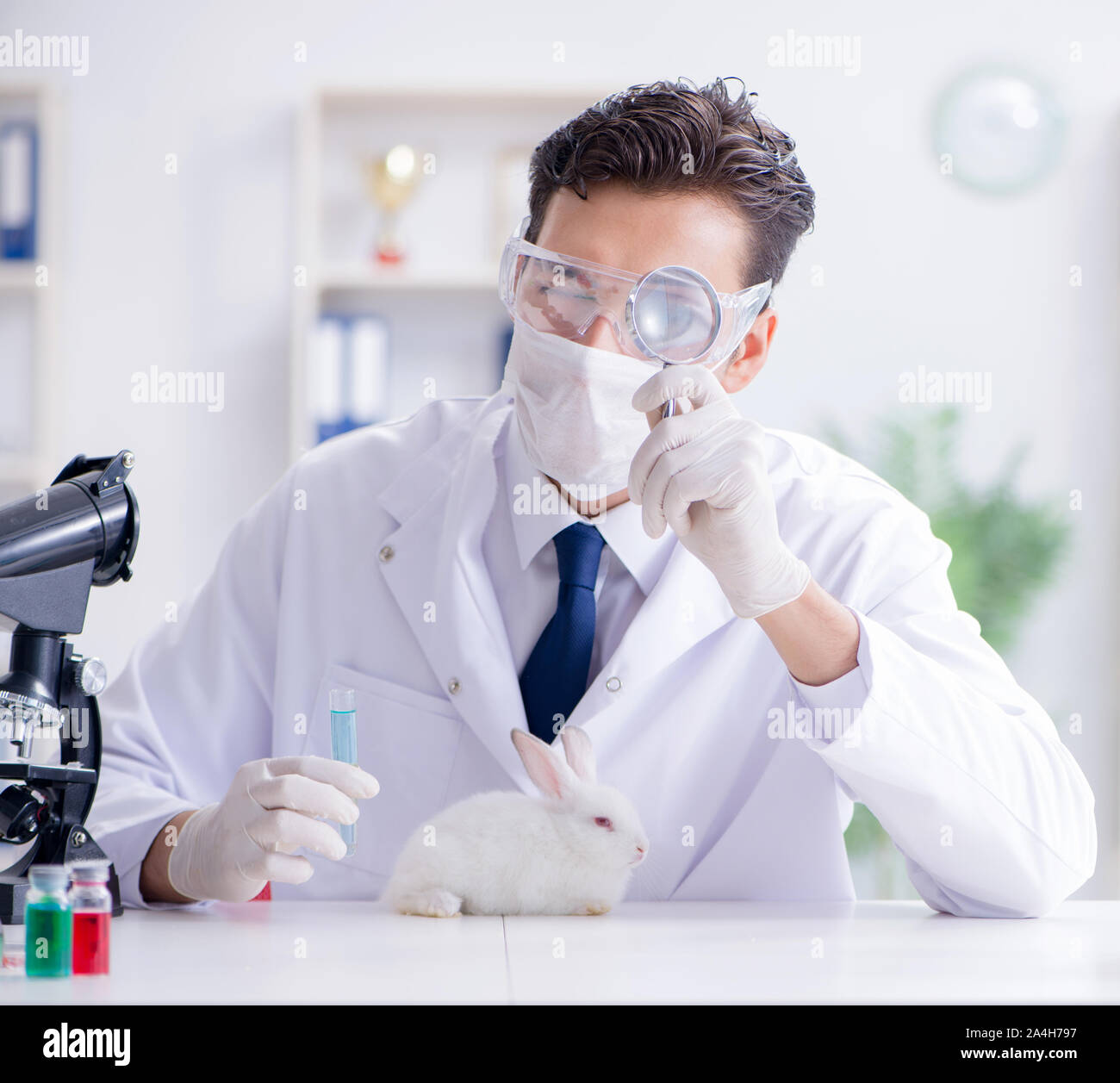 The vet doctor examining rabbit in pet hospital Stock Photo - Alamy