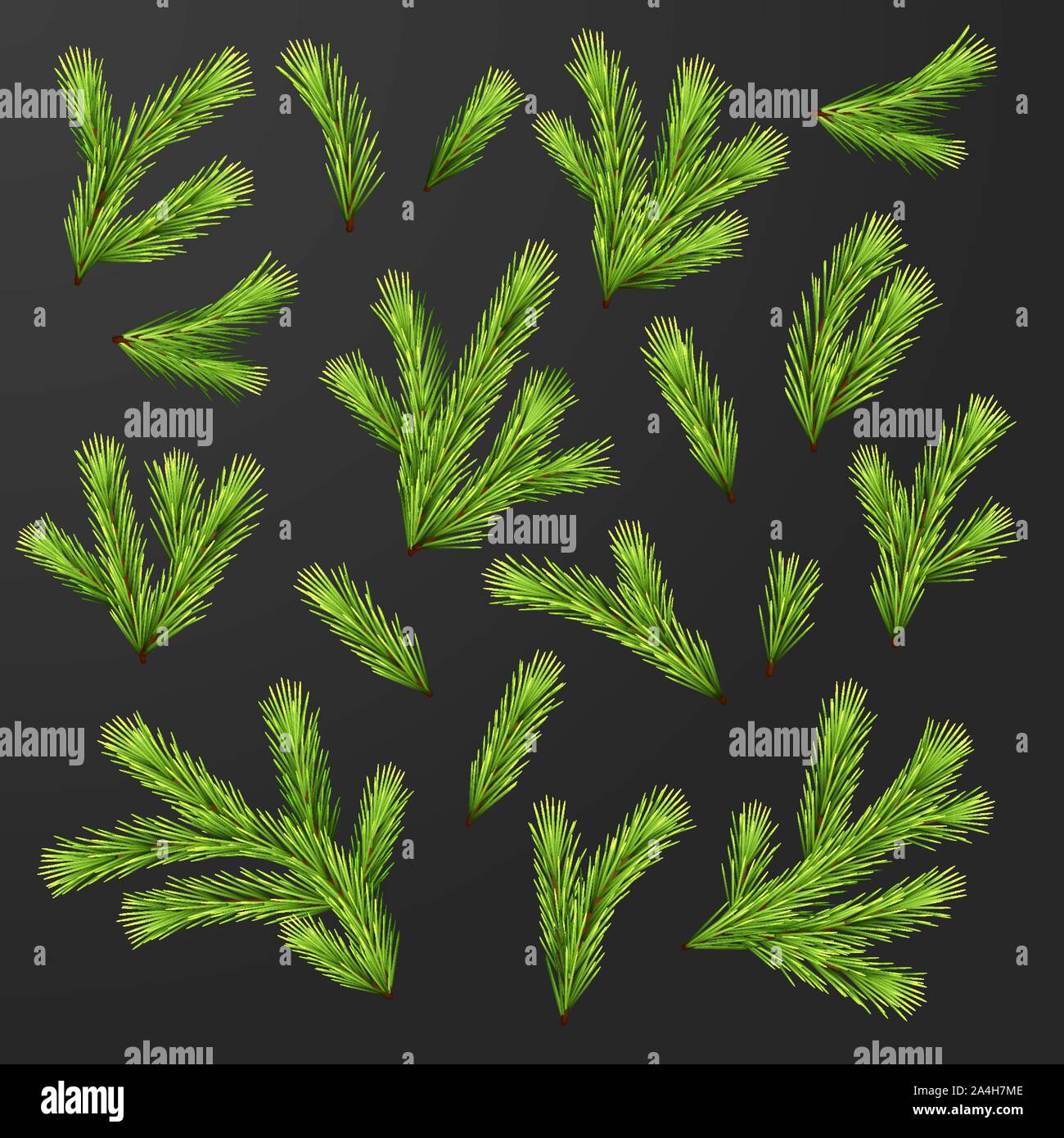 Green branches fir tree Stock Vector Images - Alamy