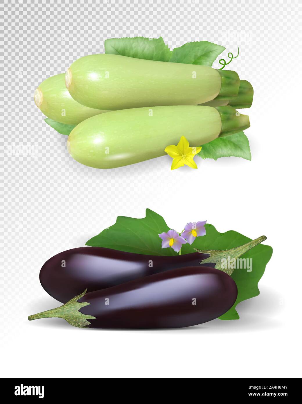 Fresh vegetable zucchini and eggplants decorated with green leaf and ...