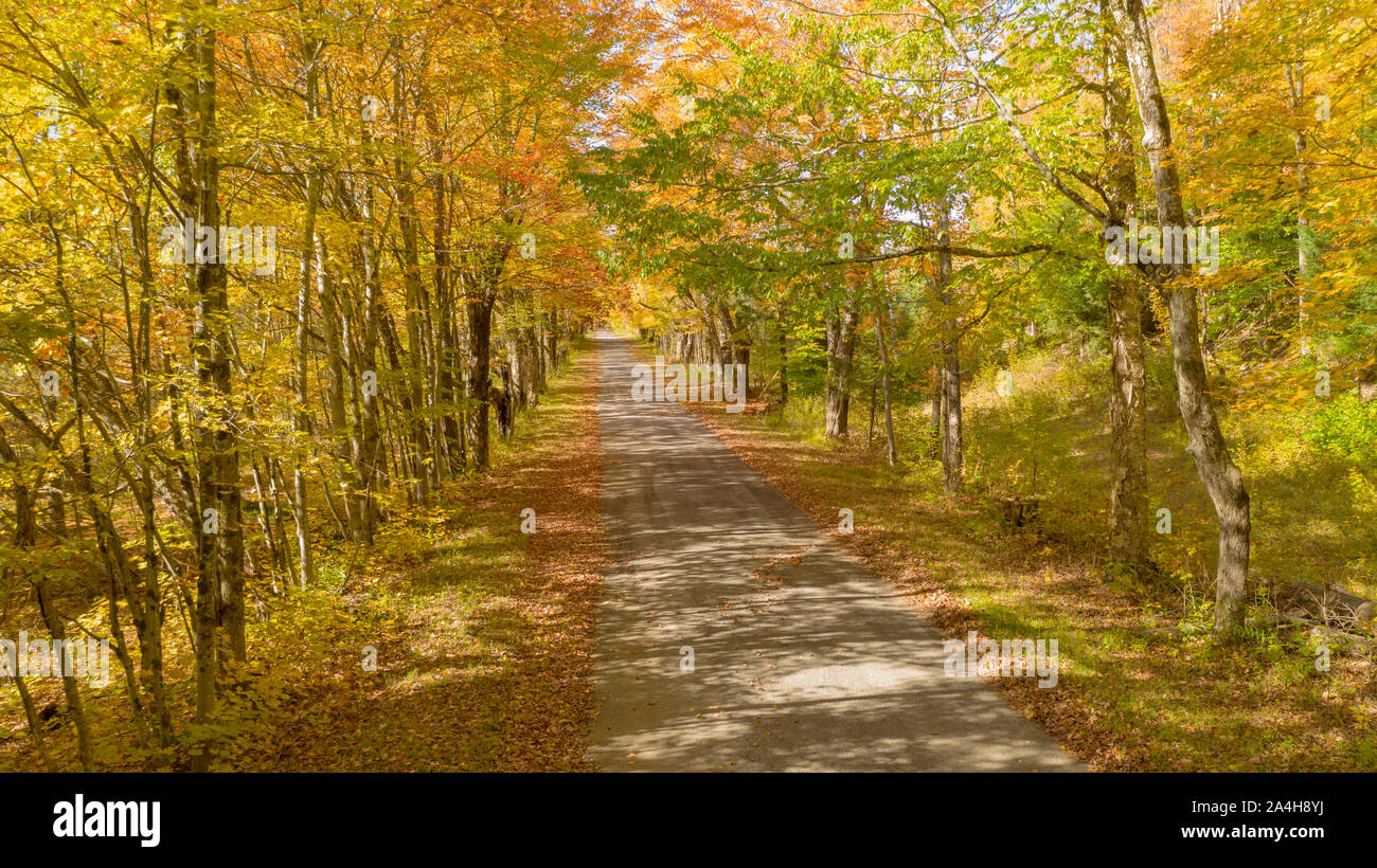 Secluded Narrow Lane Road Tree Leaves Autumn Season Fall Colors Stock ...