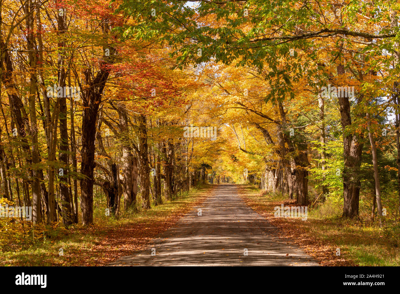 Season fall colors hi-res stock photography and images - Alamy