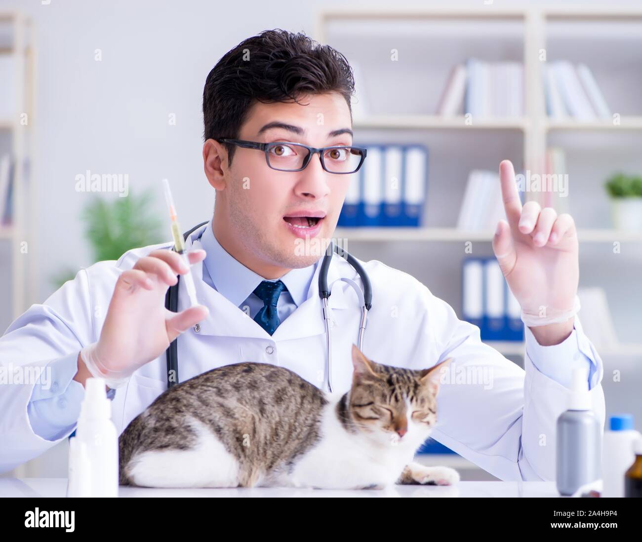 The cat visiting vet for regular check up Stock Photo - Alamy