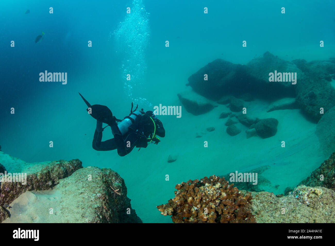 Scuba diving underwater hi-res stock photography and images - Alamy