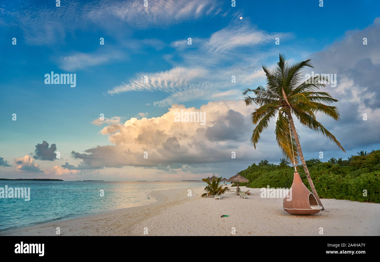 Exotic tropical beach background as summer landscape with cocoon beach ...
