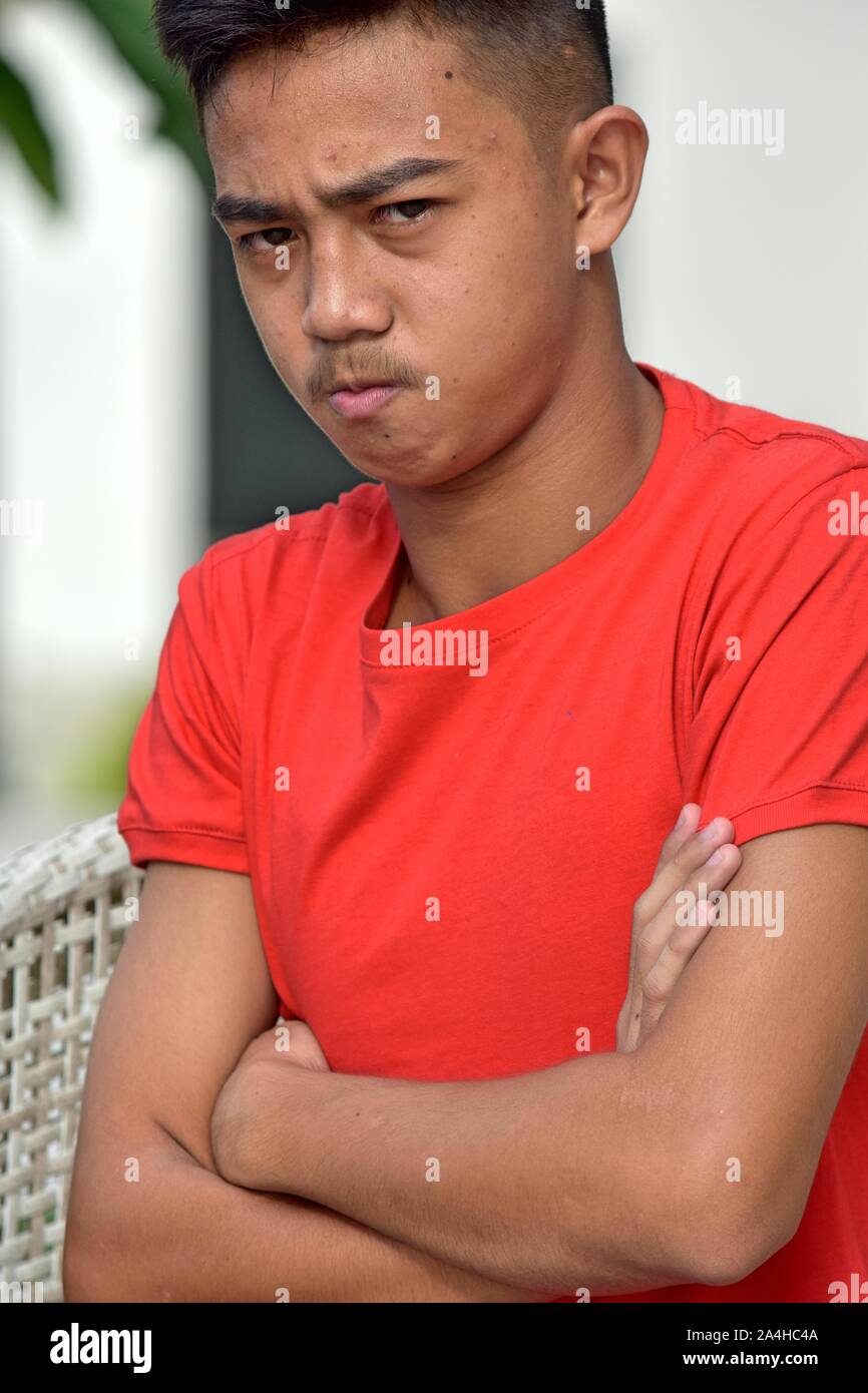 Stubborn Male Juvenile Stock Photo - Alamy