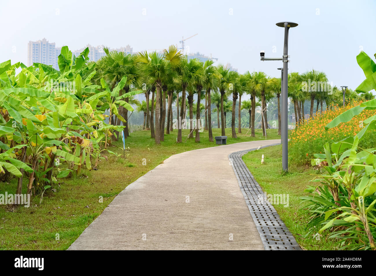 curved outdoor pathway in a park Stock Photo - Alamy