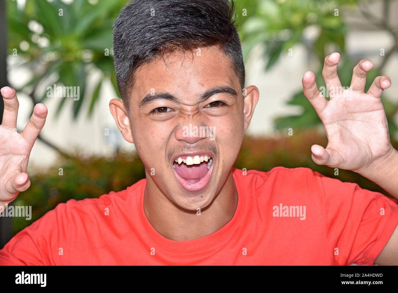 An Intimidating Teenager Boy Stock Photo - Alamy