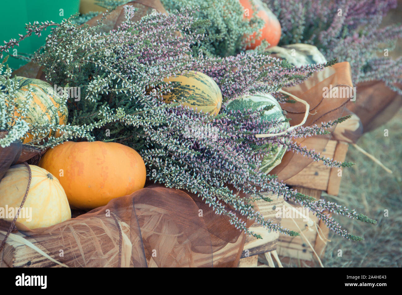 Heather food plant hi-res stock photography and images - Alamy