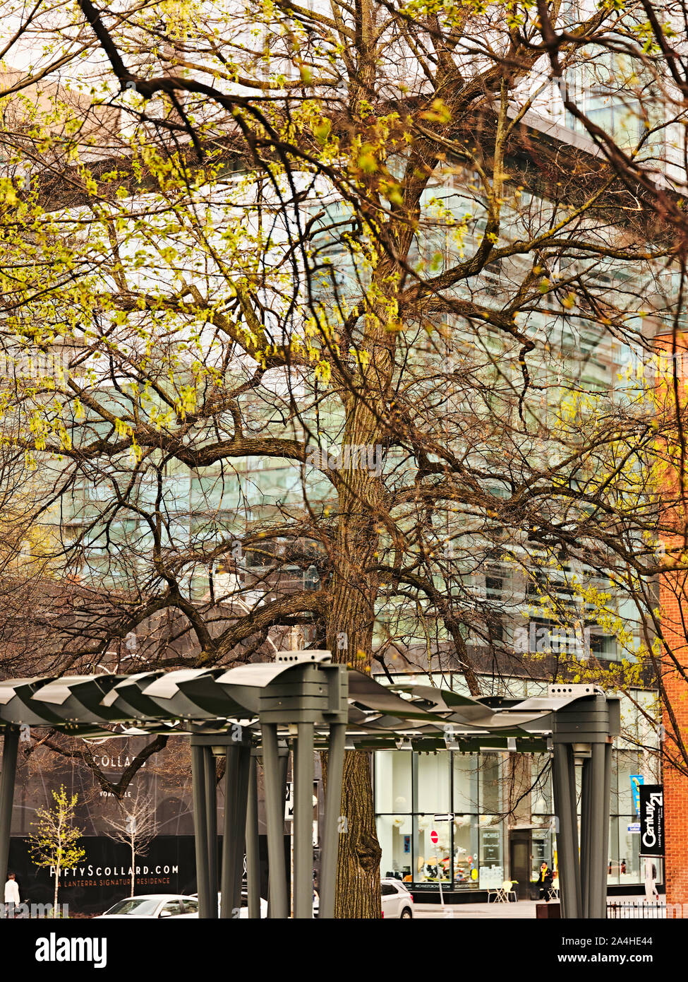 Jesse Ketchum Park, Toronto Stock Photo - Alamy