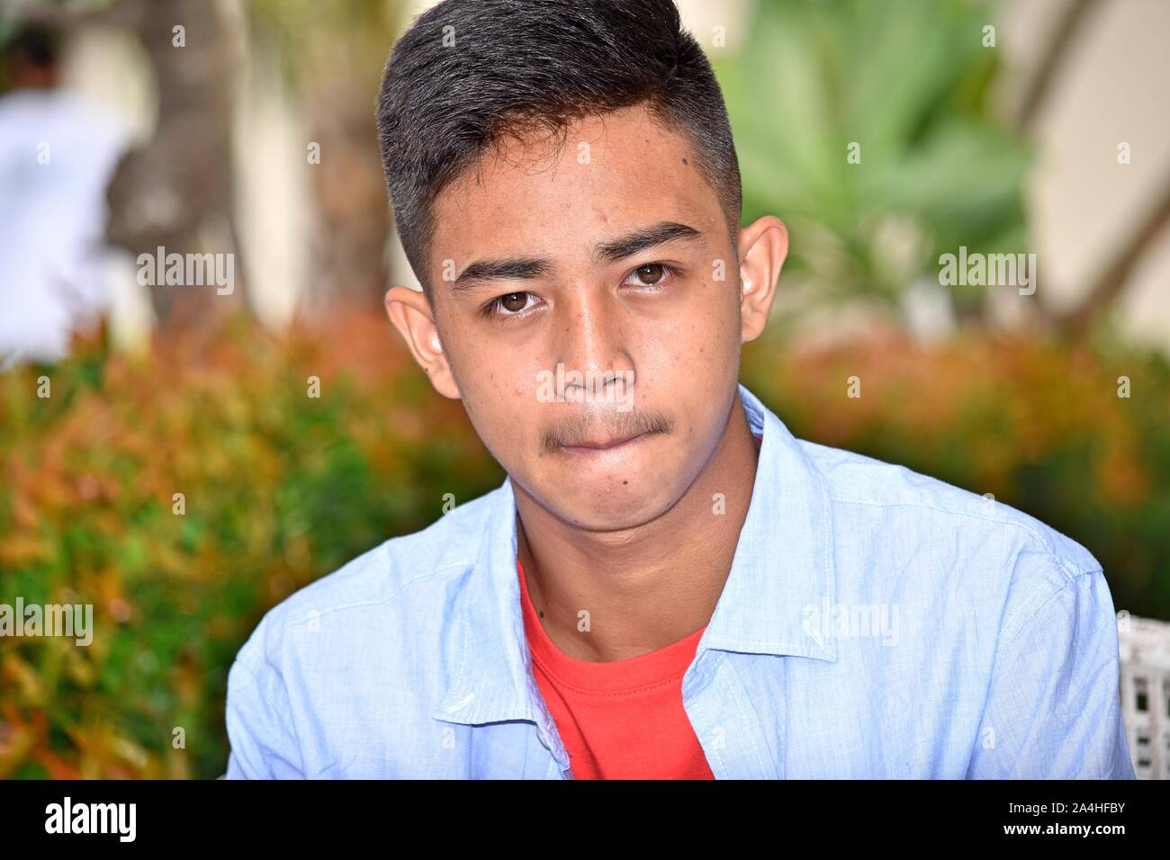 Young Filipino Male Smirking Stock Photo - Alamy