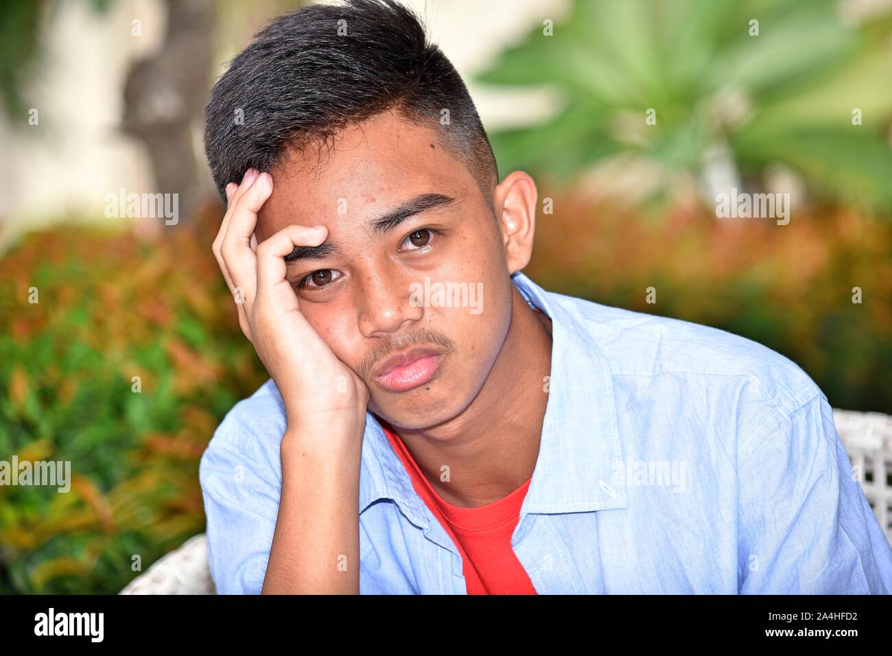 Worrisome hi-res stock photography and images - Alamy