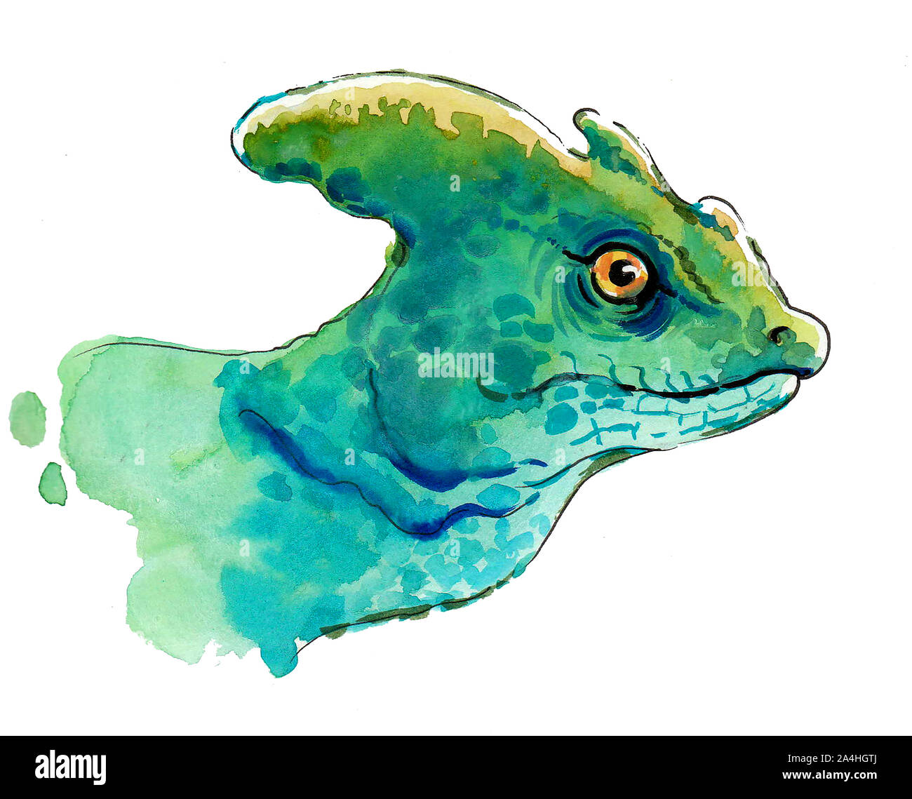 Green lizard. Ink and watercolor illustration Stock Photo - Alamy