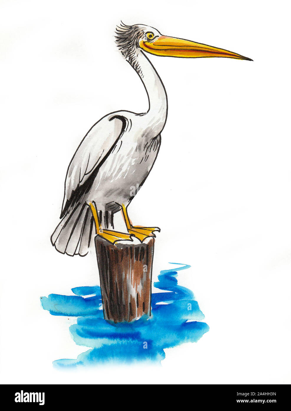 Pelican sitting on post in hi-res stock photography and images - Alamy