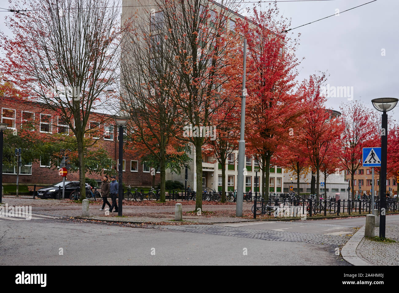 Misty autumn street hi-res stock photography and images - Alamy