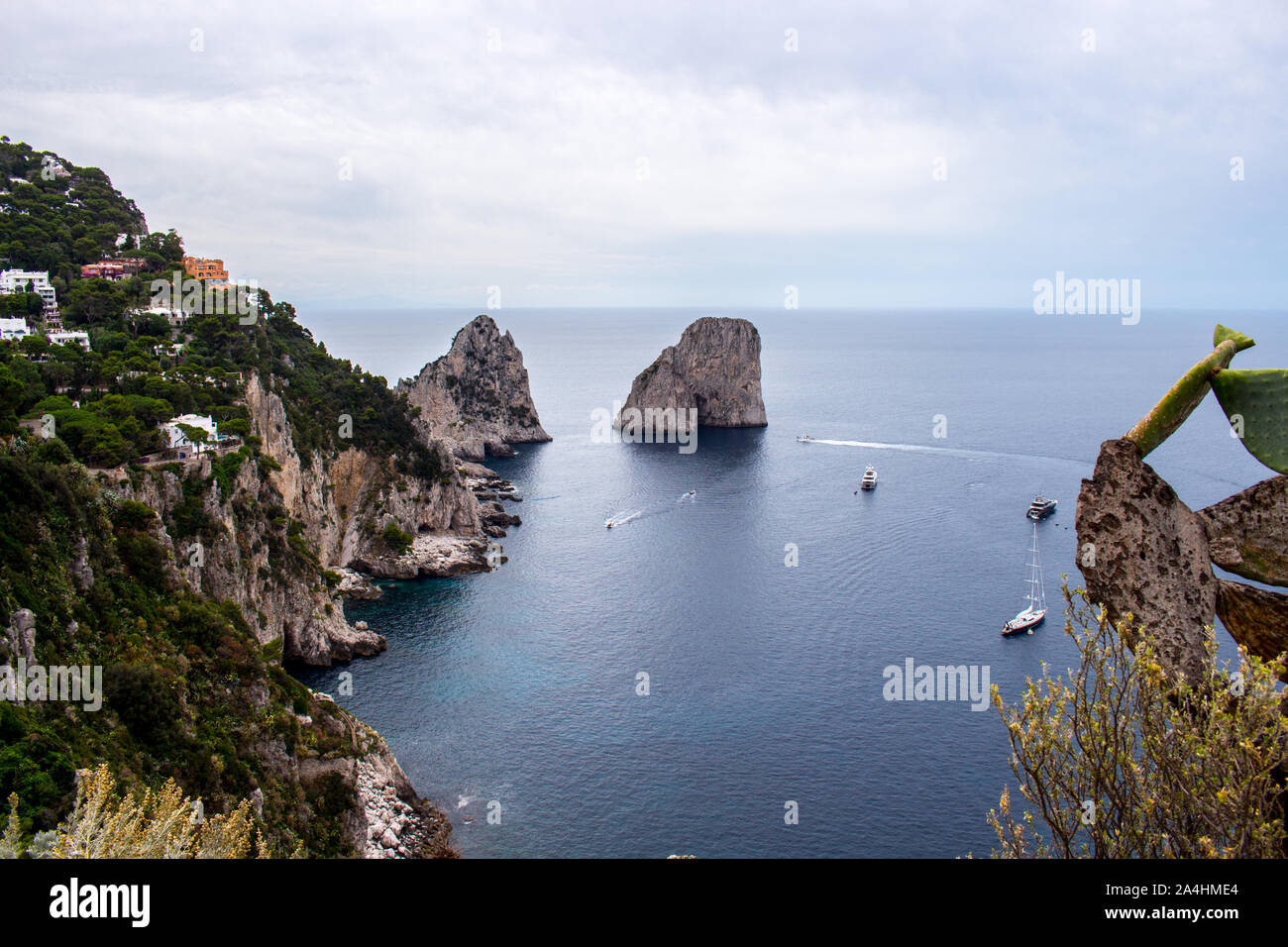 Summer flowers capri hi-res stock photography and images - Alamy