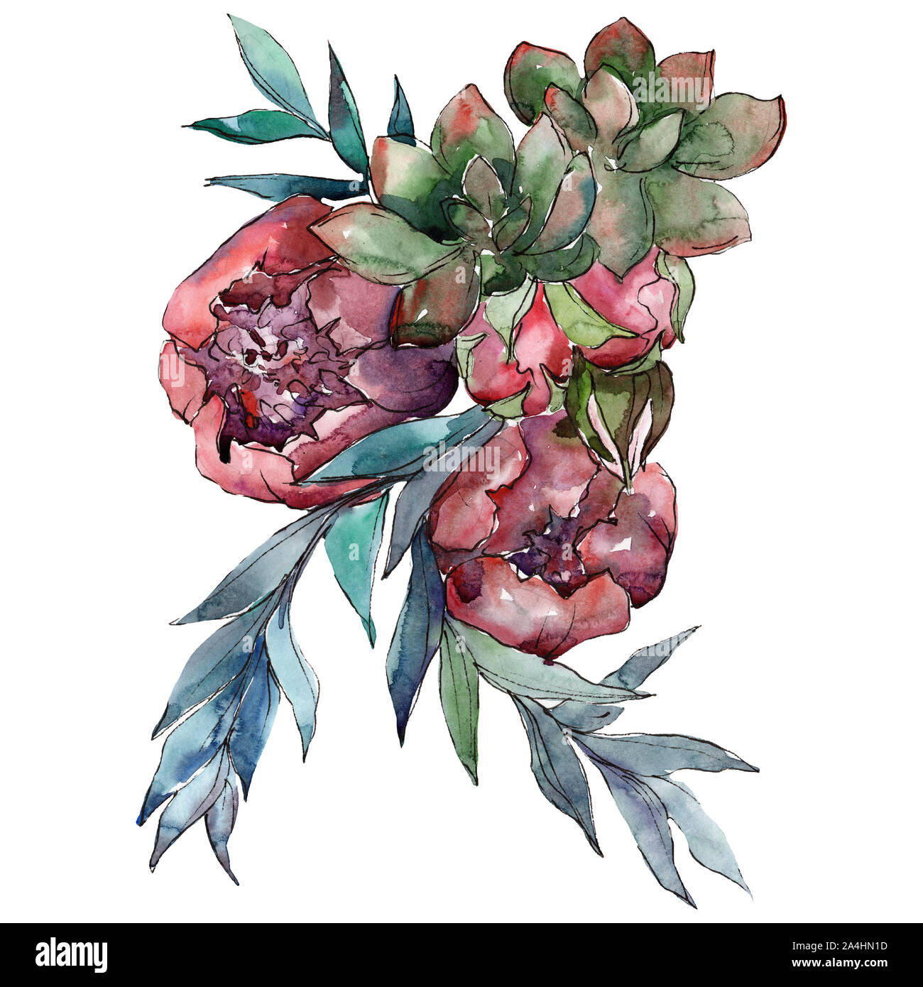 Bouquet floral botanical flowers. Watercolor background illustration ...