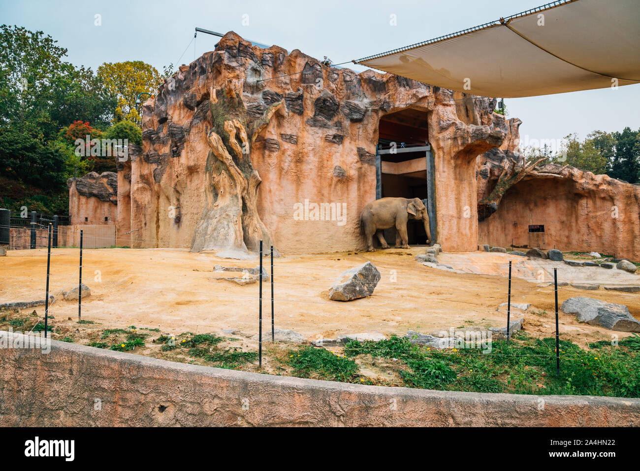 Seoul grand park zoo hi-res stock photography and images - Alamy